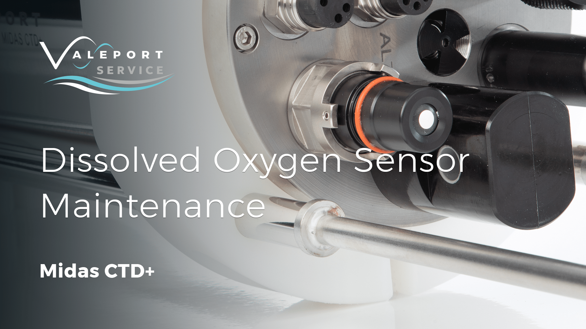 DO Sensor Maintenance - Teledyne Valeport