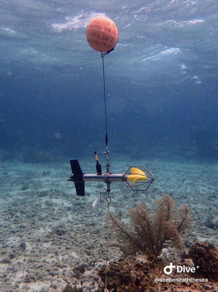 ‘Maddie’ the current meter used in fascinating project - Teledyne Valeport